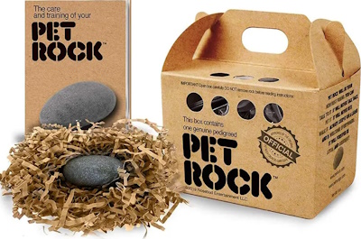 Paint a Pet Rock
